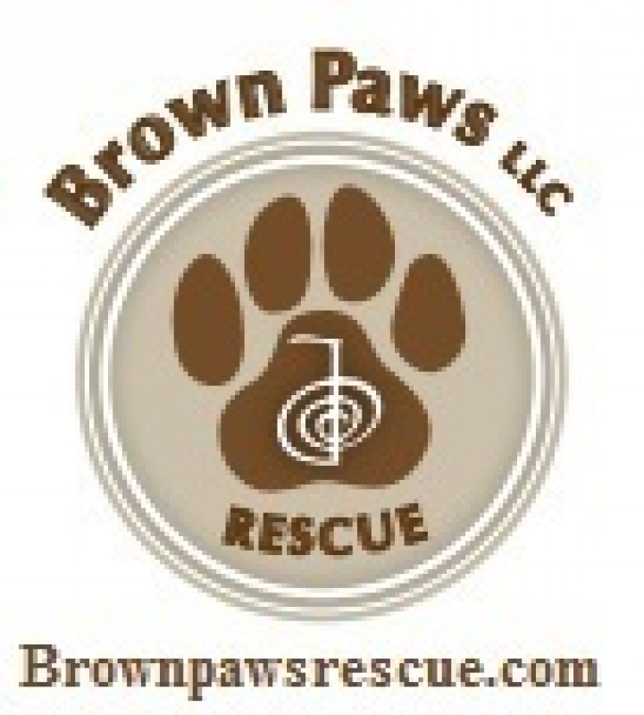 Brown Paws Rescue - Pet Shelter and Rescue in Waunakee, Wisconsin ...
