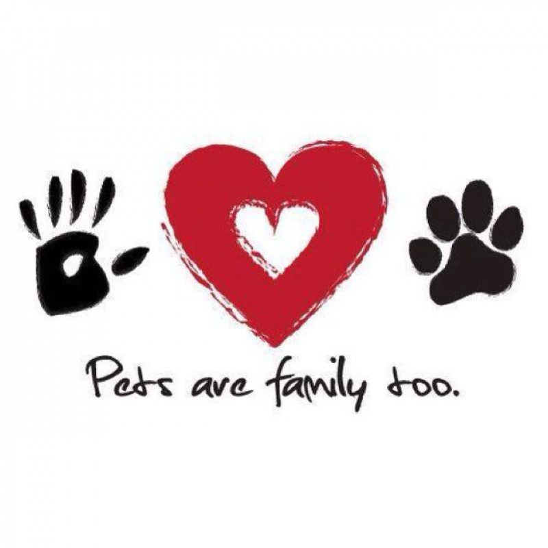 Sevier County Humane Society - Pet Shelter and Rescue in Sevierville ...
