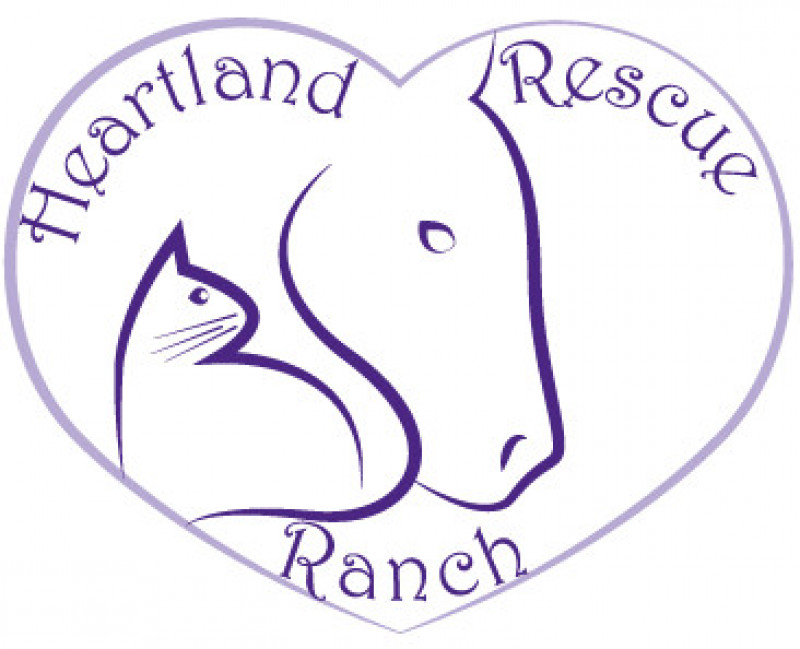 Heartland Rescue Ranch, Inc - Pet Shelter and Rescue in Panama City ...