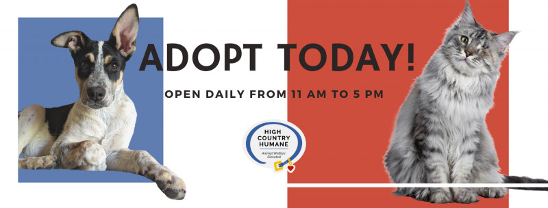 High Country Humane - Pet Shelter and Rescue in Flagstaff, Arizona ...