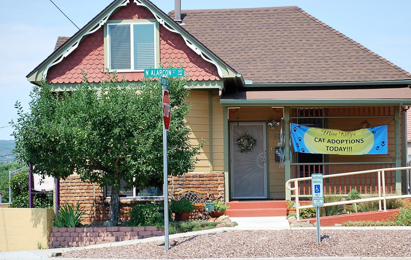 Miss Kitty's Cat House - Pet Shelter and Rescue in Prescott, Arizona ...