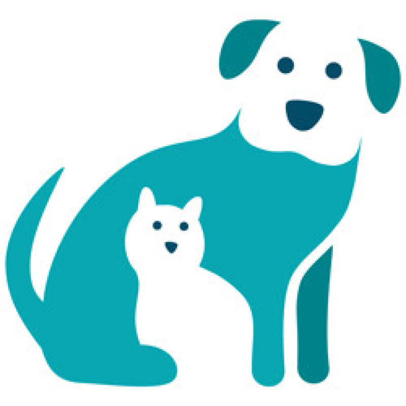 Centre County PAWS - Pet Shelter and Rescue in State College ...