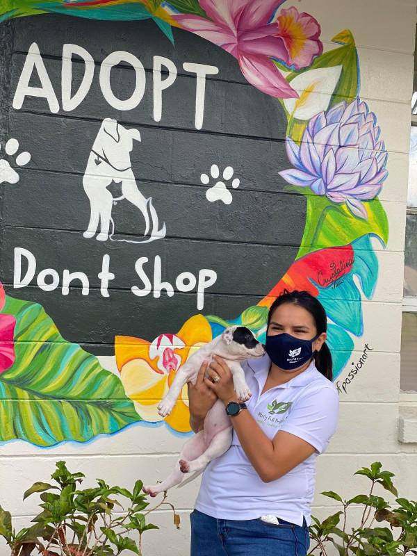 Mercy Full Project - Pet Shelter and Rescue in Tampa, Florida | PetCurious