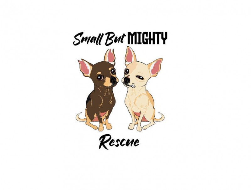 Small But Mighty Dog Rescue - Pet Shelter and Rescue in Campobello ...