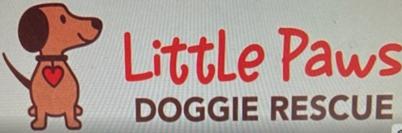 Little Paws Doggie Rescue - Pet Shelter and Rescue in Sacramento ...