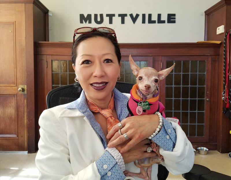 Muttville Senior Dog Rescue - Pet Shelter and Rescue in San Francisco ...