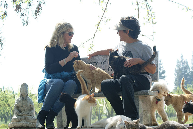 The Cat House On The Kings - Pet Shelter and Rescue in Parlier ...