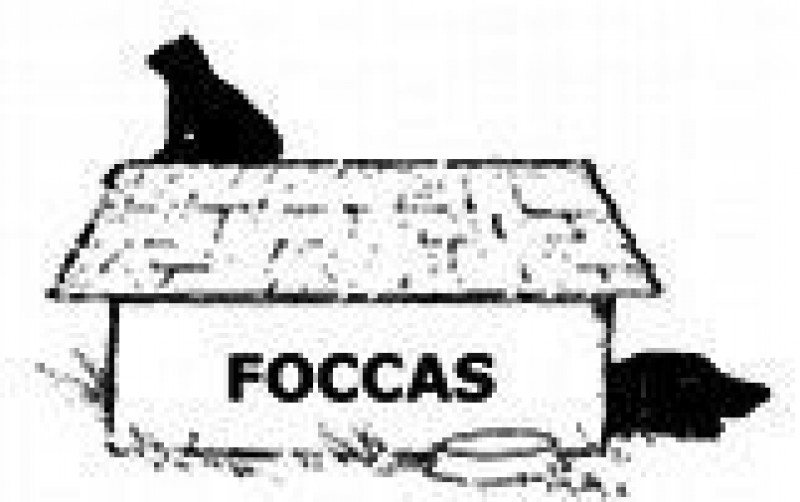 Colusa County Animal Control - Pet Shelter and Rescue in Colusa ...