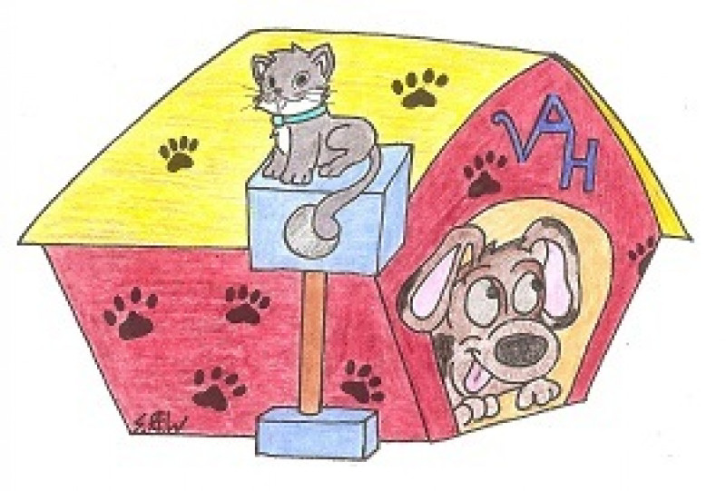Valley Animal Haven - Pet Shelter and Rescue in Lemoore, California ...