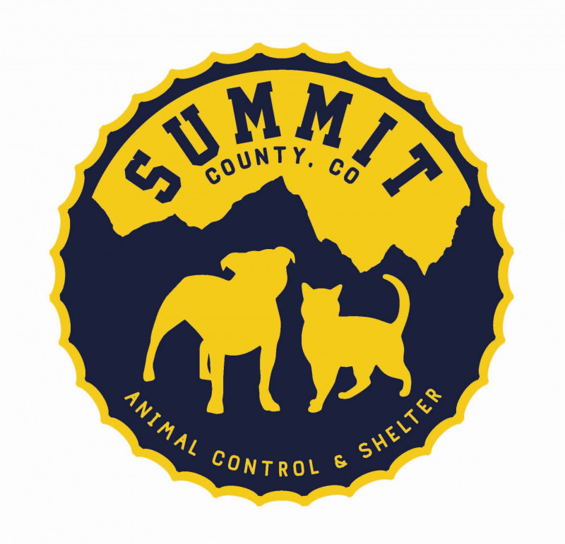 Summit County Animal Shelter - Pet Shelter and Rescue in Frisco ...