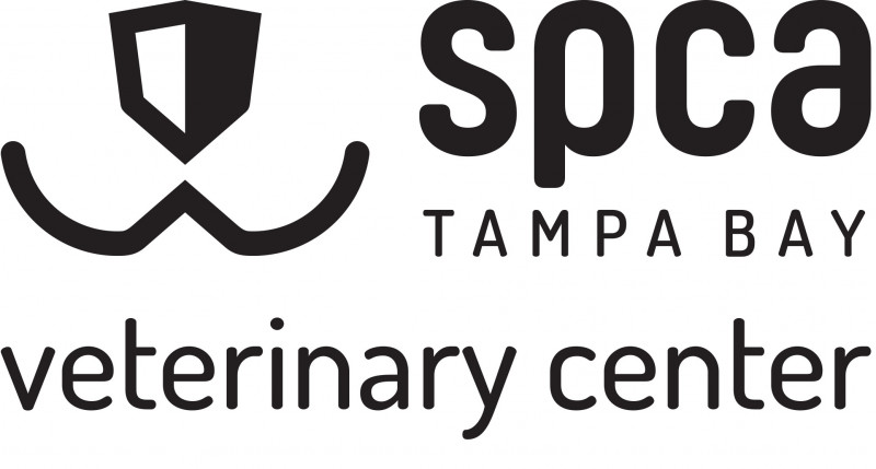 SPCA TAMPA BAY - Pet Shelter and Rescue in Largo, Florida | PetCurious