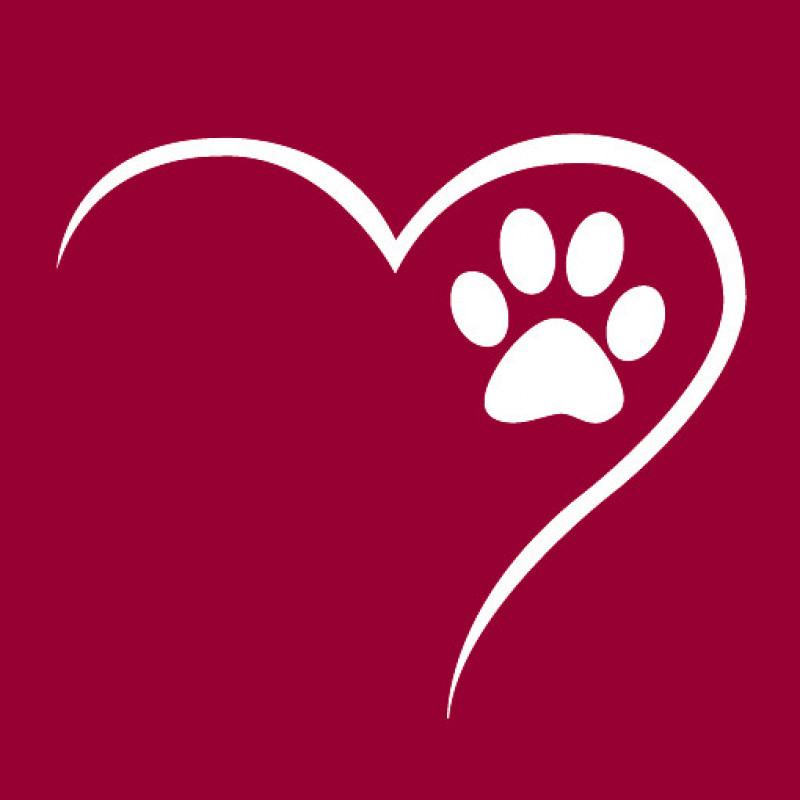 Humane Society Of Tampa Bay - Pet Shelter and Rescue in Tampa, Florida ...