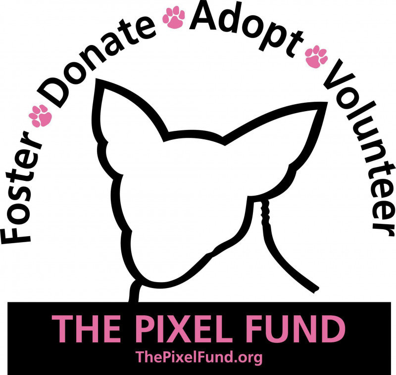 The Pixel Fund - Pet Shelter and Rescue in Gorham, Maine | PetCurious