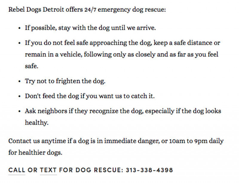 Rebel Dogs Detroit - Pet Shelter and Rescue in Detroit, Michigan ...