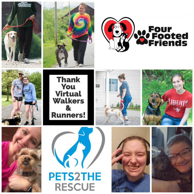 Four Footed Friends - Pet Shelter and Rescue in Indiana, Pennsylvania ...