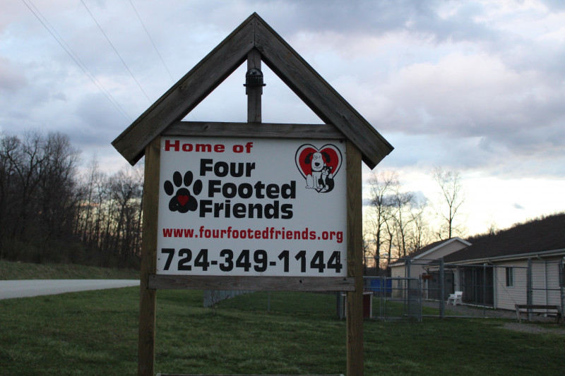 Four Footed Friends - Pet Shelter and Rescue in Indiana, Pennsylvania ...