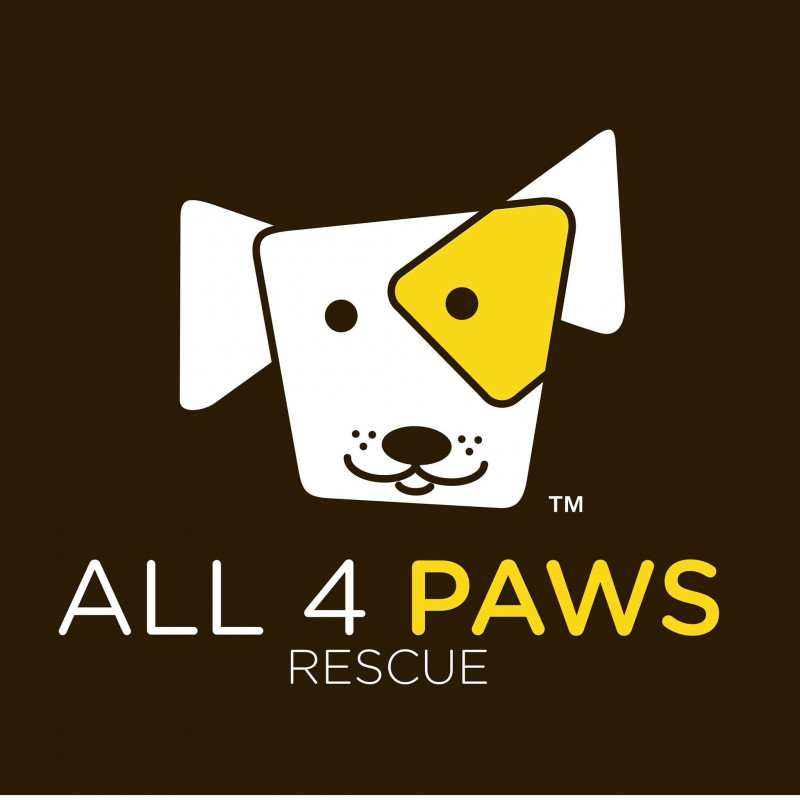 All 4 Paws Rescue - Pet Shelter and Rescue in Malvern, Pennsylvania ...