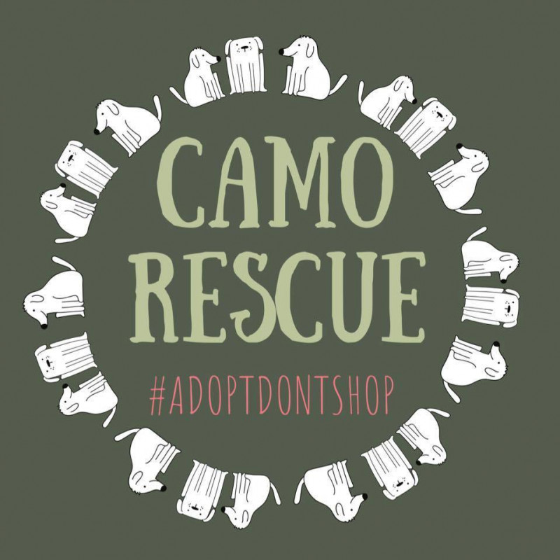 CAMO - Rescue - Pet Shelter and Rescue in Houston, Texas | PetCurious