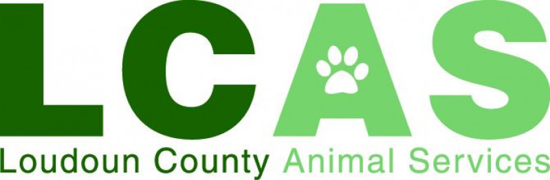 Loudoun County Animal Shelter - Pet Shelter and Rescue in Leesburg ...