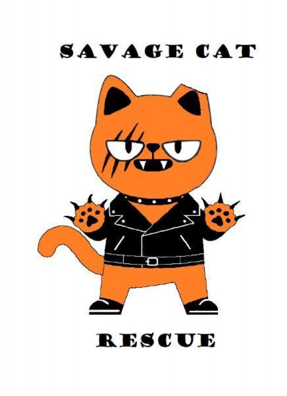 Savage Cat Rescue - Animal Shelter and Rescue in Billings, Montana ...