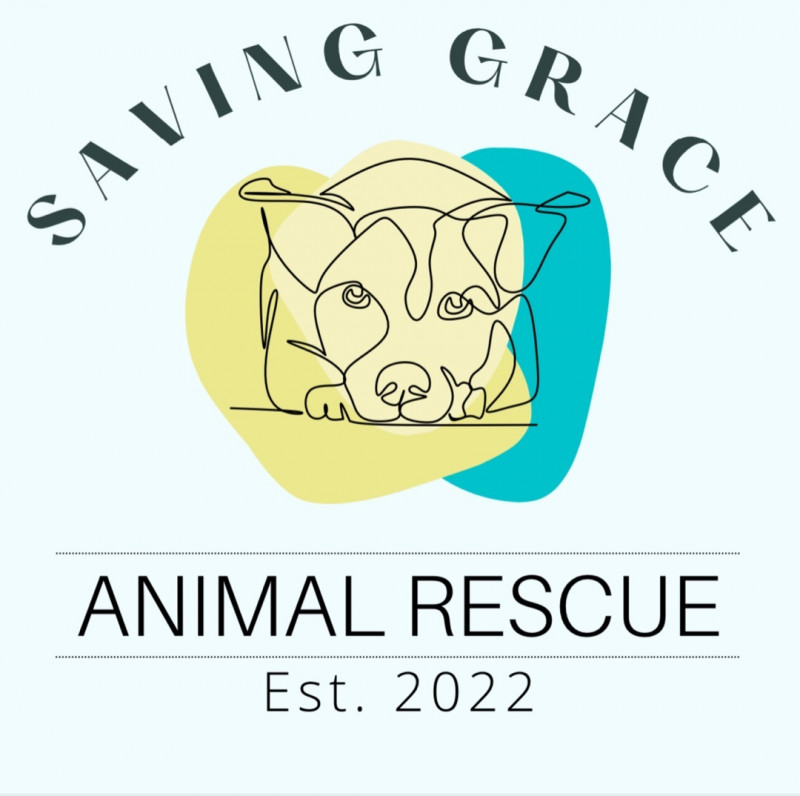 Saving Grace Animal Rescue - Animal Shelter and Rescue in Winter ...