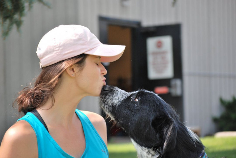 Pawsitive Match Rescue Foundation - Animal Shelter and Rescue in ...