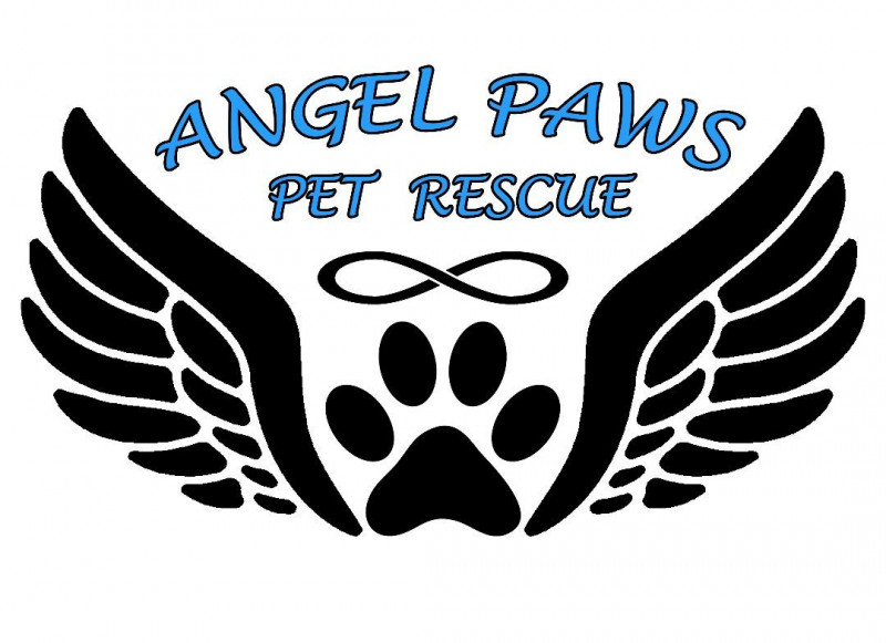 Angel Paws Pet Rescue - Animal Shelter and Rescue in Milford, Michigan ...