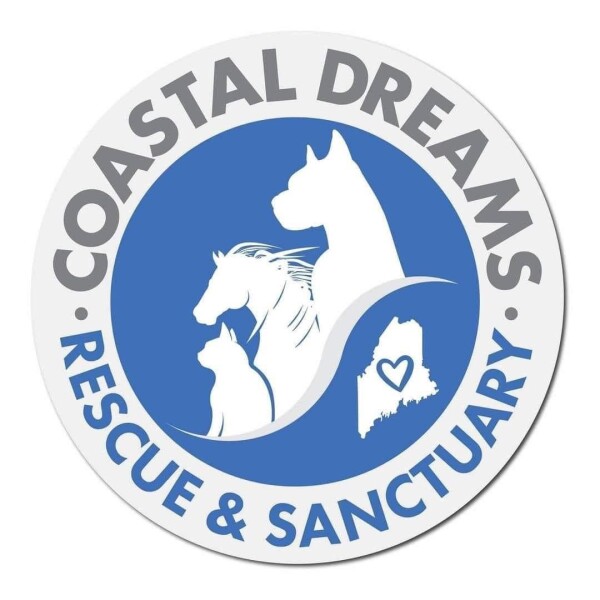 Coastal Dreams Rescue & Sanctuary - Animal Shelter and Rescue in ...