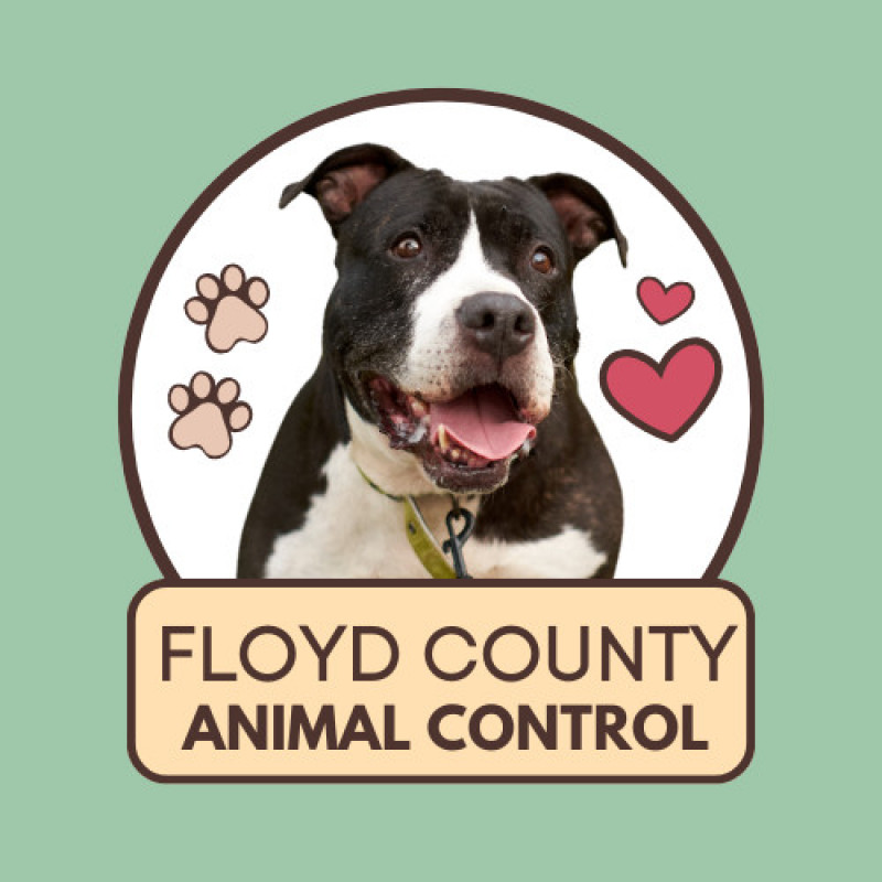 Floyd County Animal Control - Animal Shelter and Rescue in Floyd ...