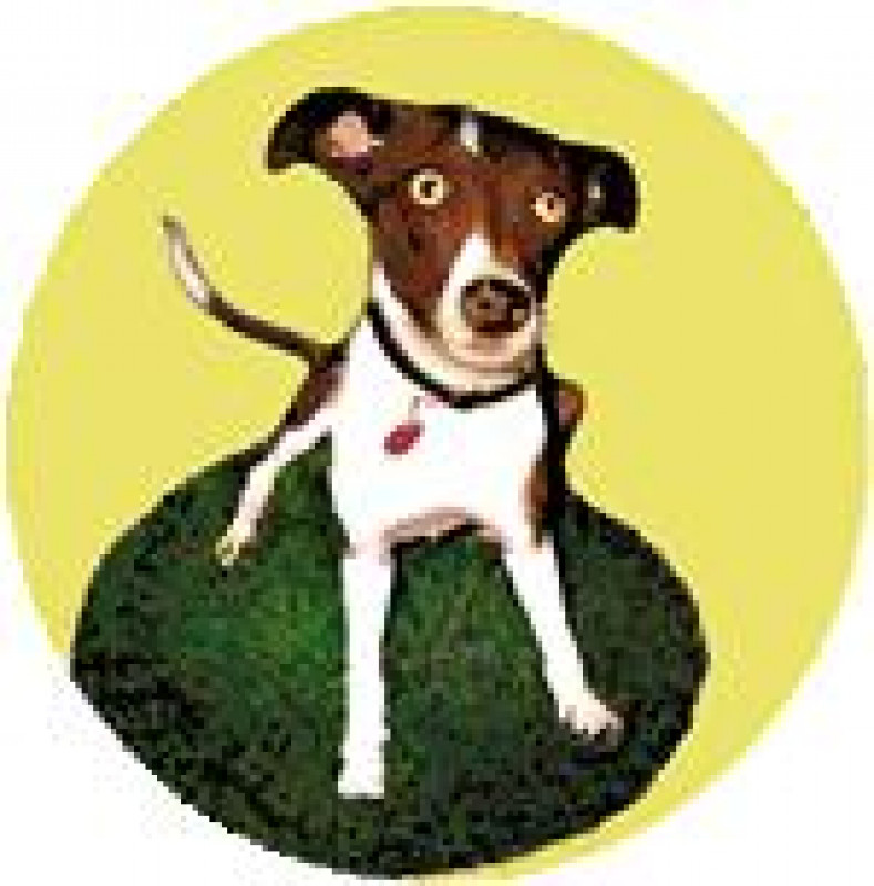 Real Good Dog Rescue - Pet Shelter and Rescue in Memphis, Tennessee ...