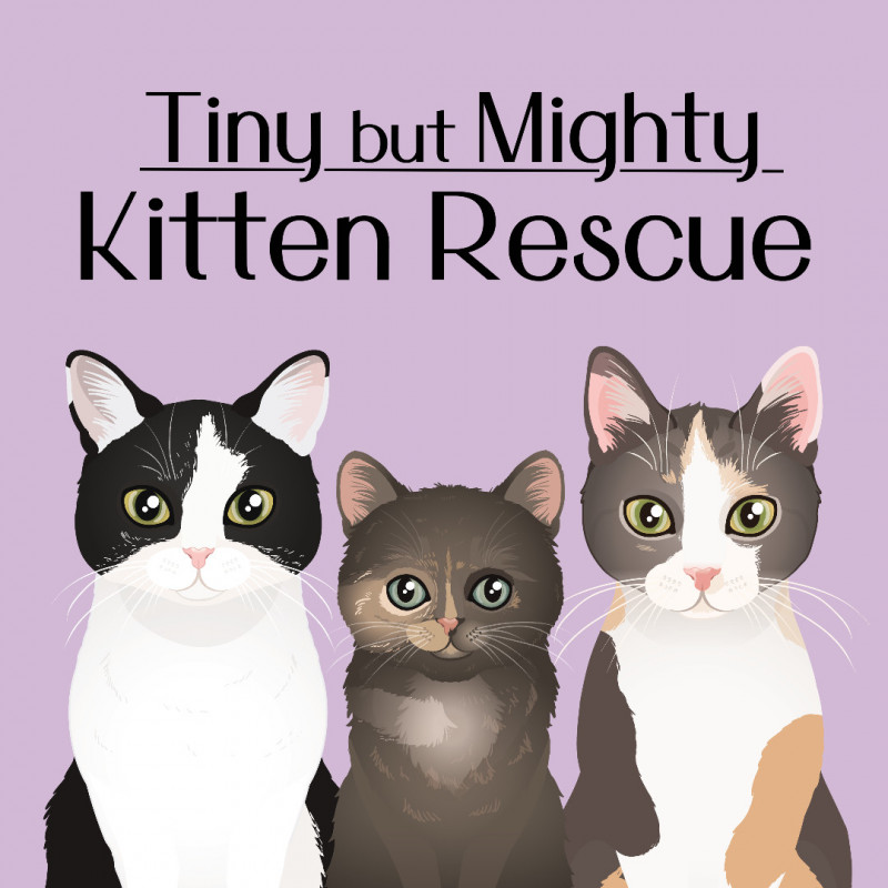 Tiny But Mighty Kitten Rescue - Animal Shelter and Rescue | PetCurious