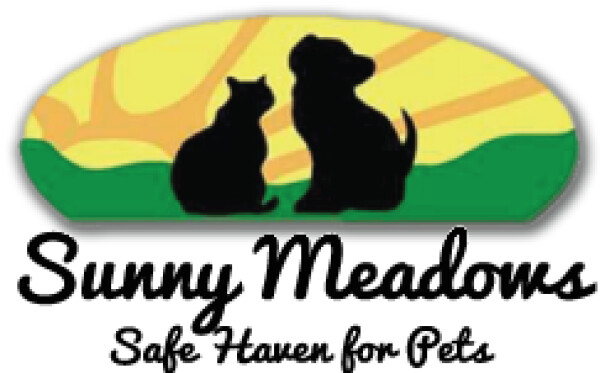 Sunny Meadows Safe Haven For Pets - Pet Shelter and Rescue | PetCurious