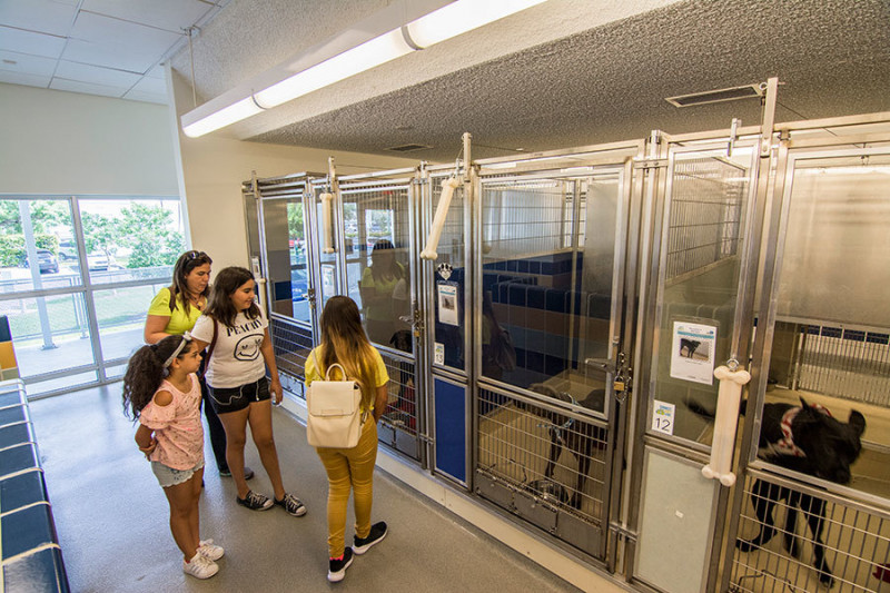 Miami-Dade Animal Services - Pet Shelter and Rescue in Doral, Florida ...