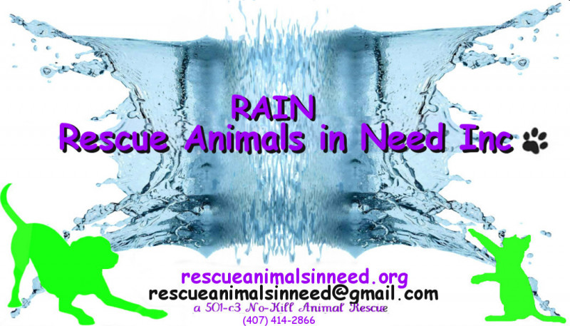 RAIN (Rescue Animals In Need Inc.) - Pet Shelter and Rescue in Fort ...