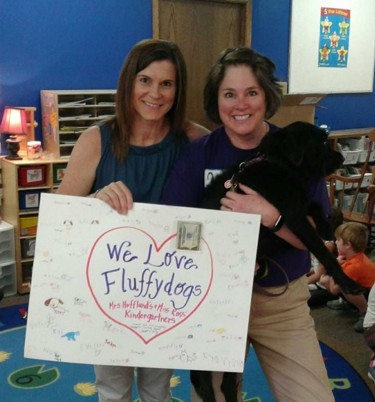 Fluffy Dog Rescue - Pet Shelter and Rescue in Hartland, Wisconsin ...