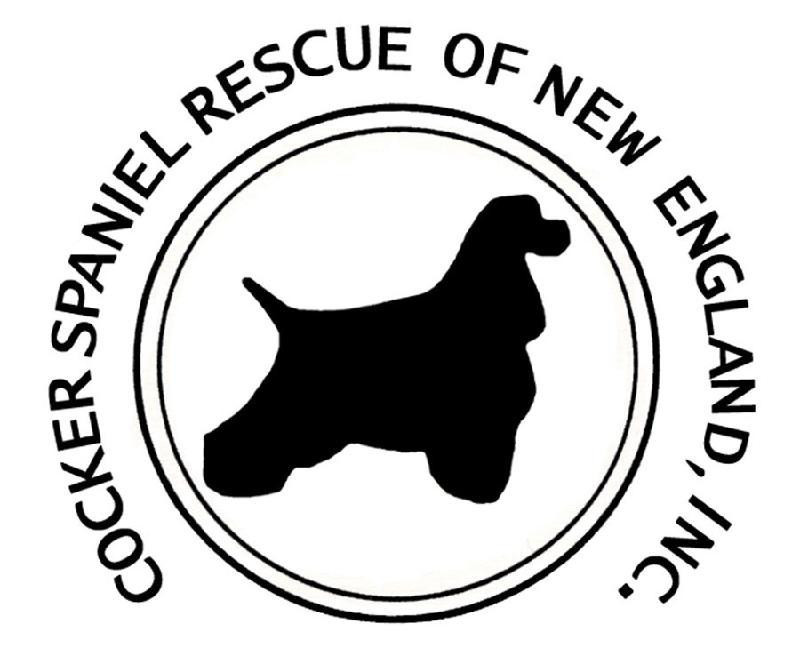 Cocker Spaniel Rescue Of New England - Pet Shelter and Rescue in ...