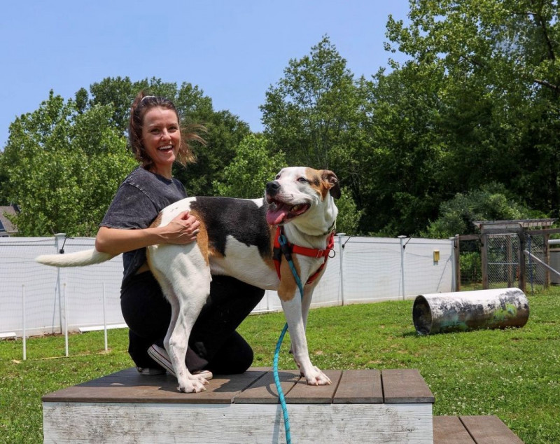 Our Companions Animal Rescue - Pet Shelter and Rescue in Manchester ...