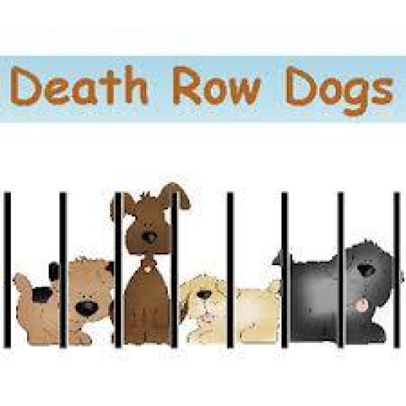 Death Row Dogs - Pet Shelter and Rescue in Central City, Kentucky ...