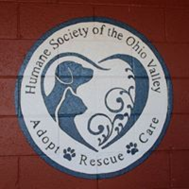 Humane Society Of The Ohio Valley - Pet Shelter and Rescue in Marietta ...