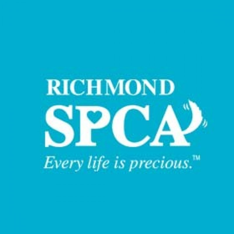 Richmond SPCA - Pet Shelter and Rescue in Richmond, Virginia | PetCurious