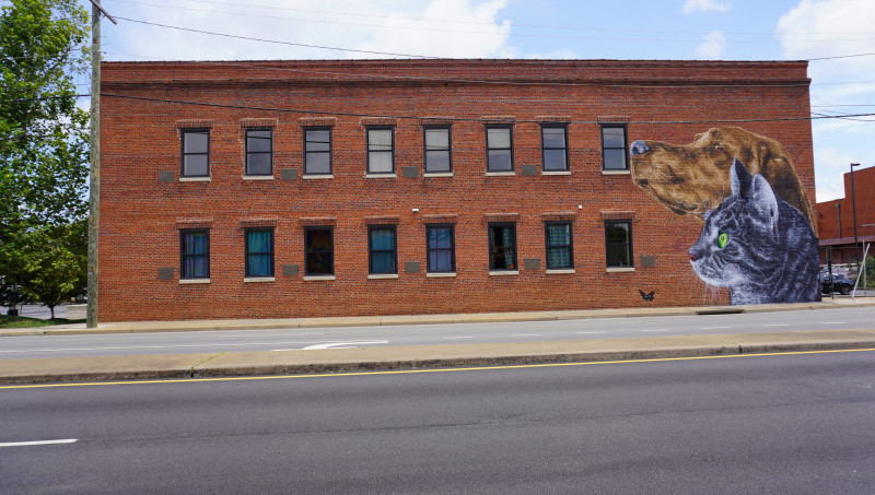 Richmond SPCA - Pet Shelter and Rescue in Richmond, Virginia | PetCurious