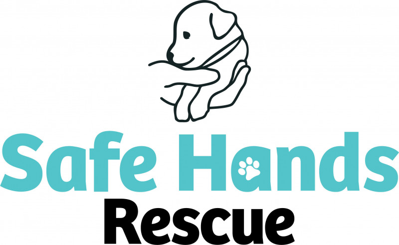 Safe Hands Animal Rescue - Pet Shelter and Rescue in Minneapolis ...