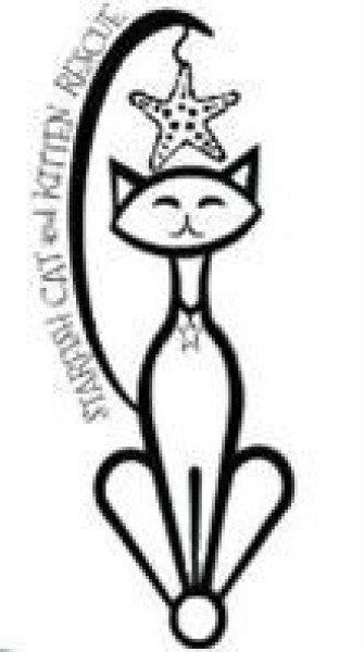 Animals for adoption at Starfish Cat And Kitten Rescue in Sierra Vista ...