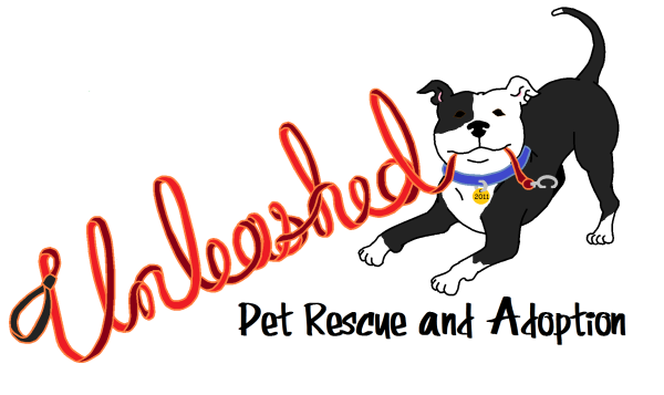 Animals for adoption at Unleashed Pet Rescue And Adoption in Mission ...