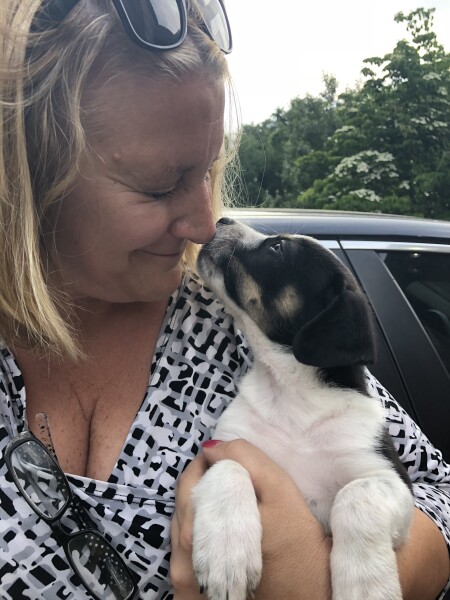 Animals for adoption at Cross Your Paws Rescue in Irwin, Pennsylvania ...