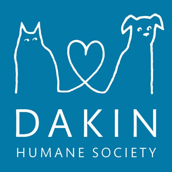 Animals for adoption at Dakin Humane Society in Springfield ...