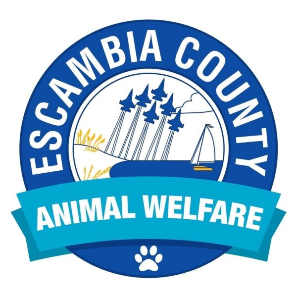 Animals for adoption at Escambia County Animal Services in Pensacola ...