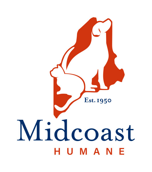 Animals for adoption at Midcoast Humane in Brunswick, Maine | PetCurious